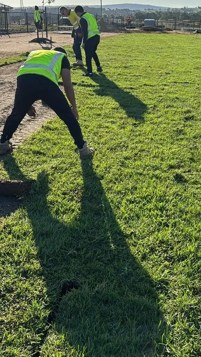 Premium Turf Echuca | Fresh Turf Supply in VIC & NSW